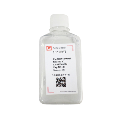 500ml Tbst Buffer Tbs Buffer with Tween-20 for Western Blot from China ...