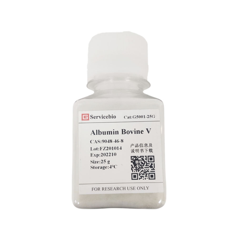 Bovine Serum Albumin BSA Immunoassay blocking agent For WB ELISA from ...